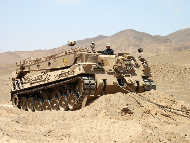 Leopard 1 Family Vehicles: FFG Flensburger Fahrzeugbau GmbH