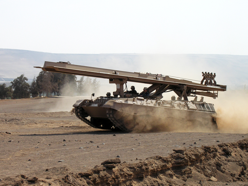 Leopard 1 Family Vehicles: FFG Flensburger Fahrzeugbau GmbH